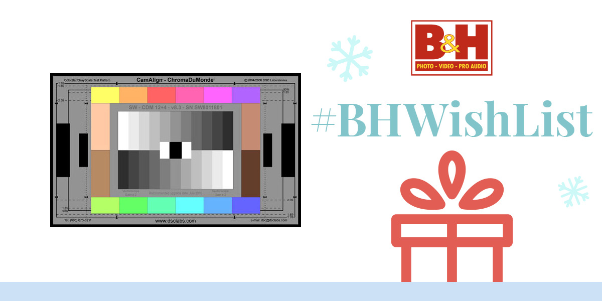 DSC Labs ChromaDuMonde 12+4 Standard CamAlign Chip CDM12+4RST