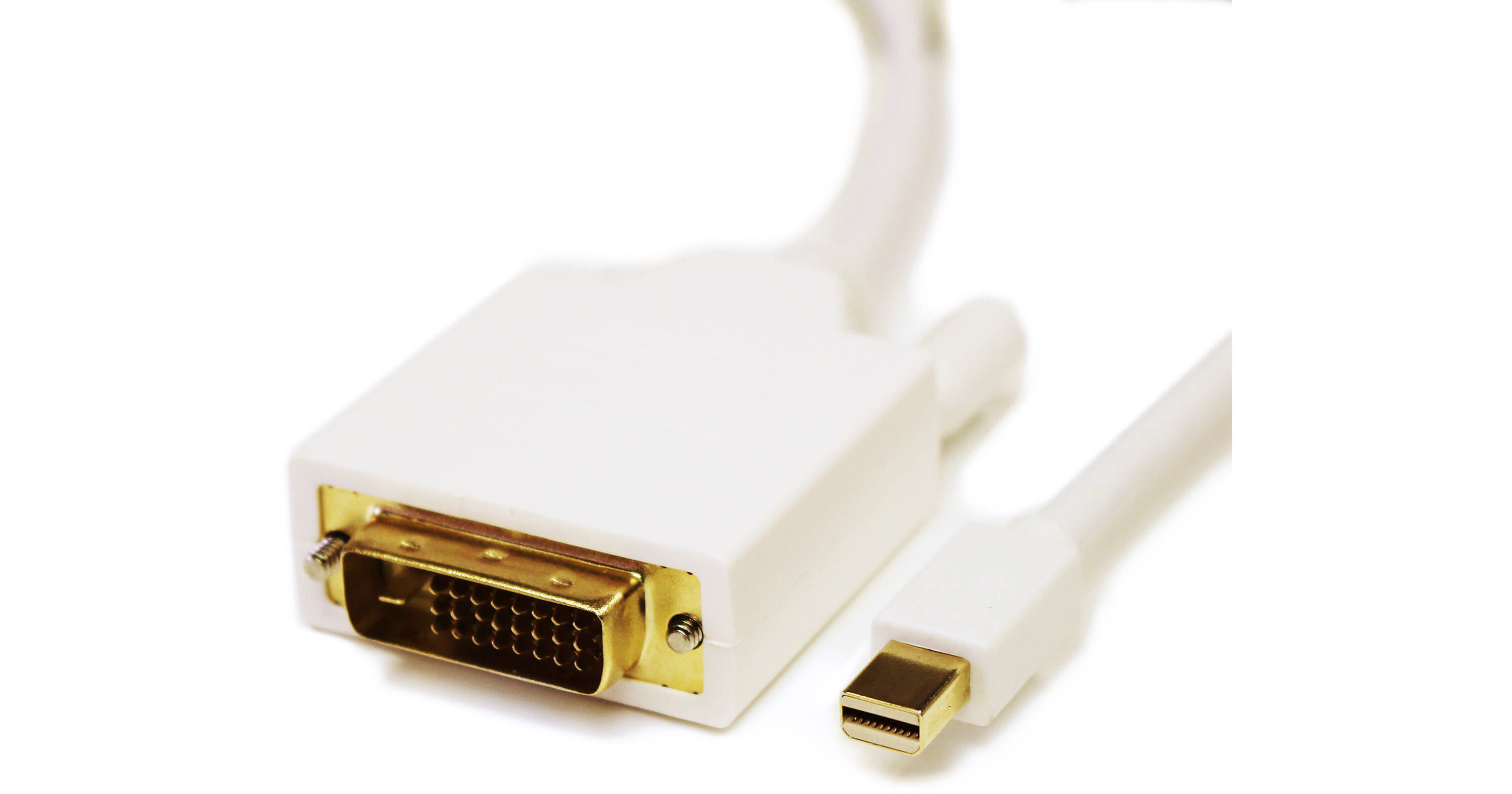 Tera Grand Mini DisplayPort Male to DVI Male Cable MDP-DVI-10
