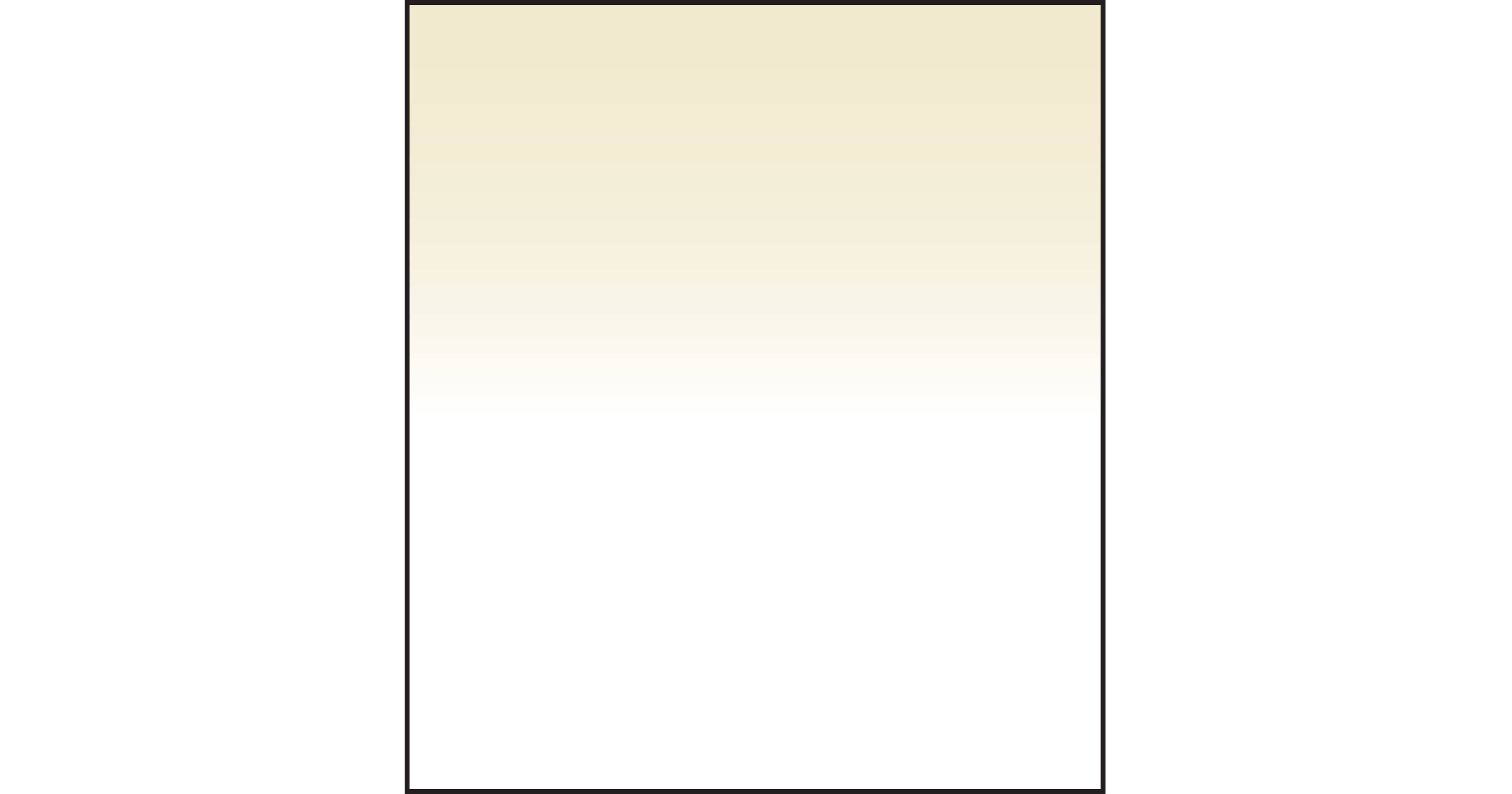 LEE Filters 150 x 170mm SW150 Hard Edge Graduated 81B SW15081BGH