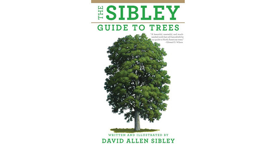 Sibley Guides Book: Guide to Trees 9780375415197 B&H Photo Video