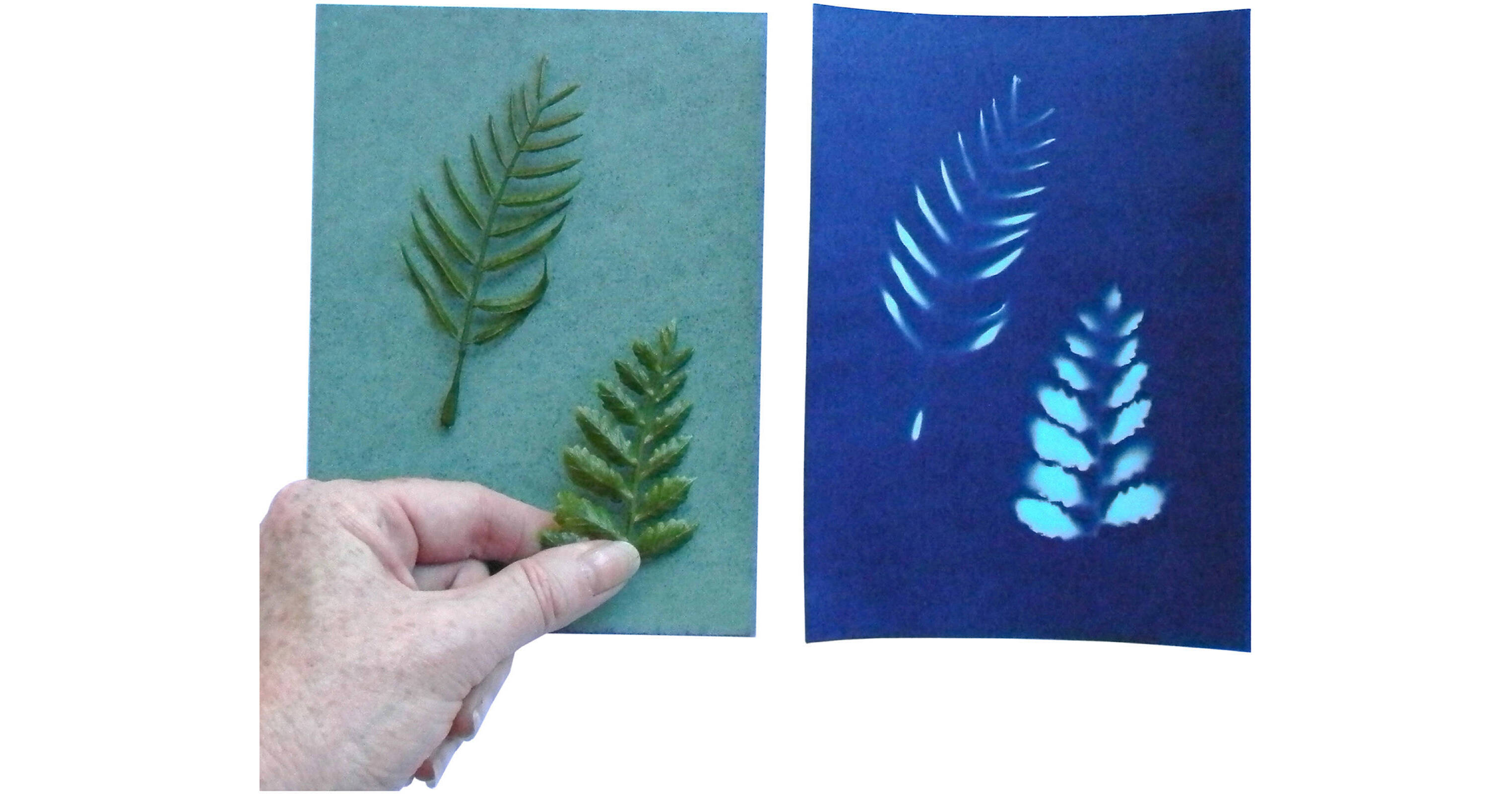 Cyanotype Store Cyanotype Paper 162253 B&H Photo Video