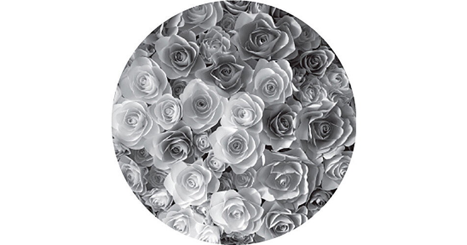 Rosco Rose Bouquet B/W Wedding Glass Gobo (A Size) 260828440100
