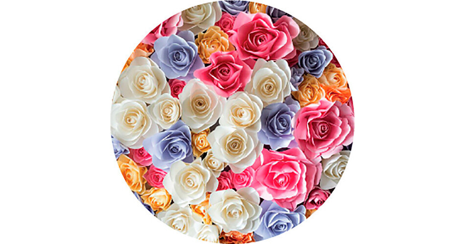 Rosco Bright Colors Rose Bouquet Wedding Glass Gobo 260867700100