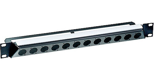 Neutrik NZP1RU-12 Angled Rack Panel with Twelve NZP1RU-12 B&H