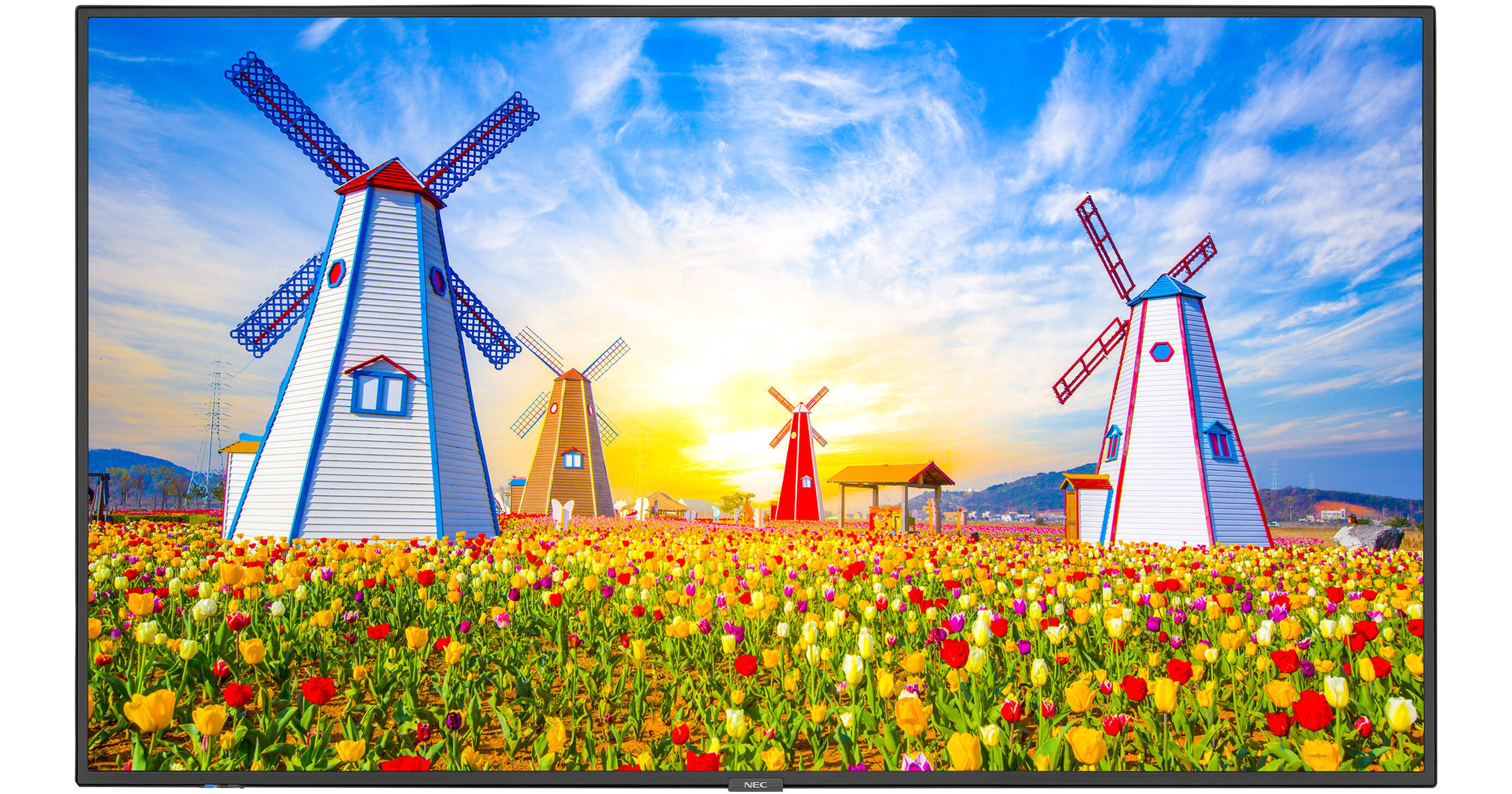 Sharp MultiSync M651 65" Class HDR 4K UHD Commercial IPS LED