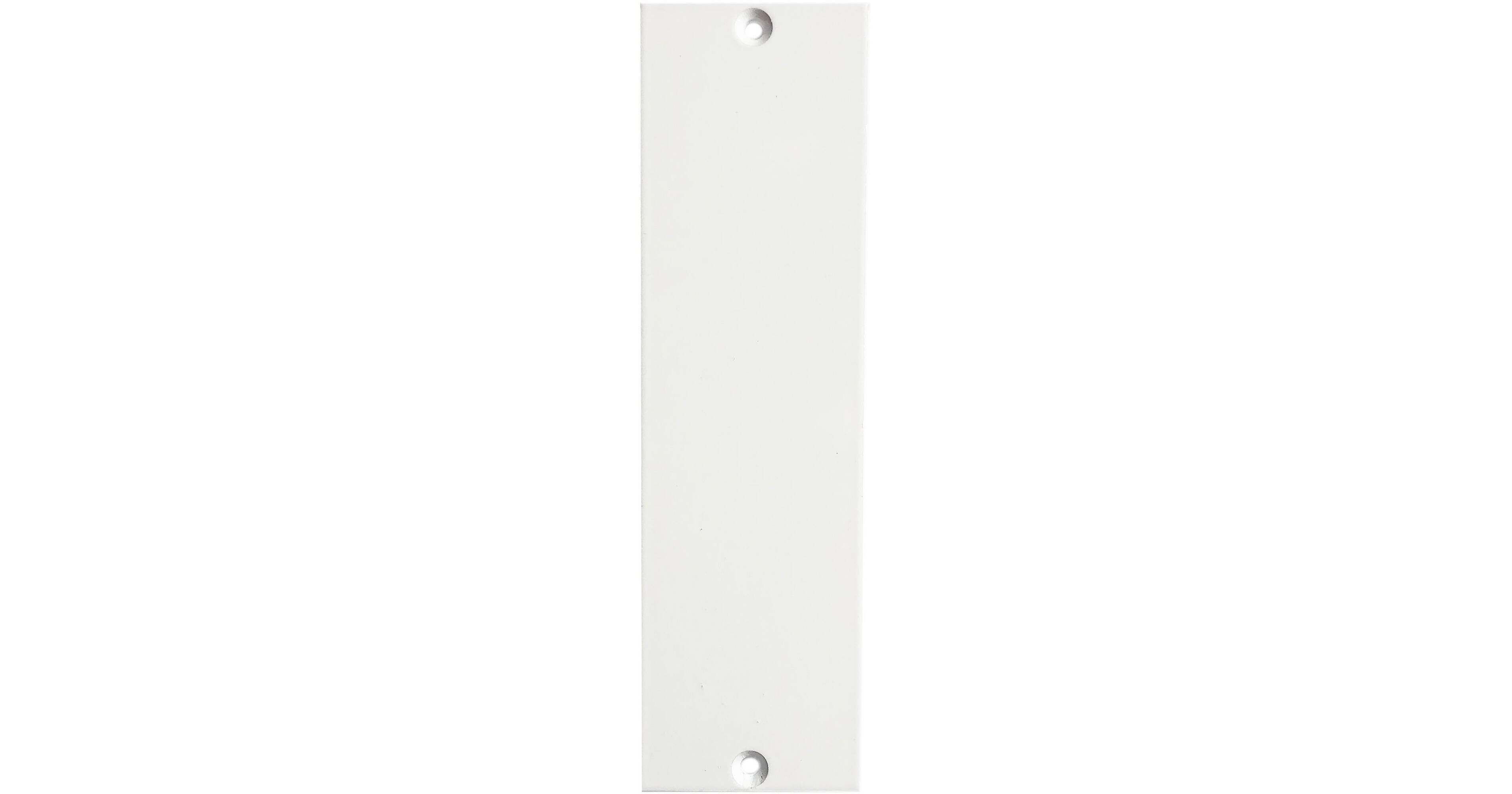 WesAudio White Blank Panel for 500 Series WHITE BLANK PANELS B&H