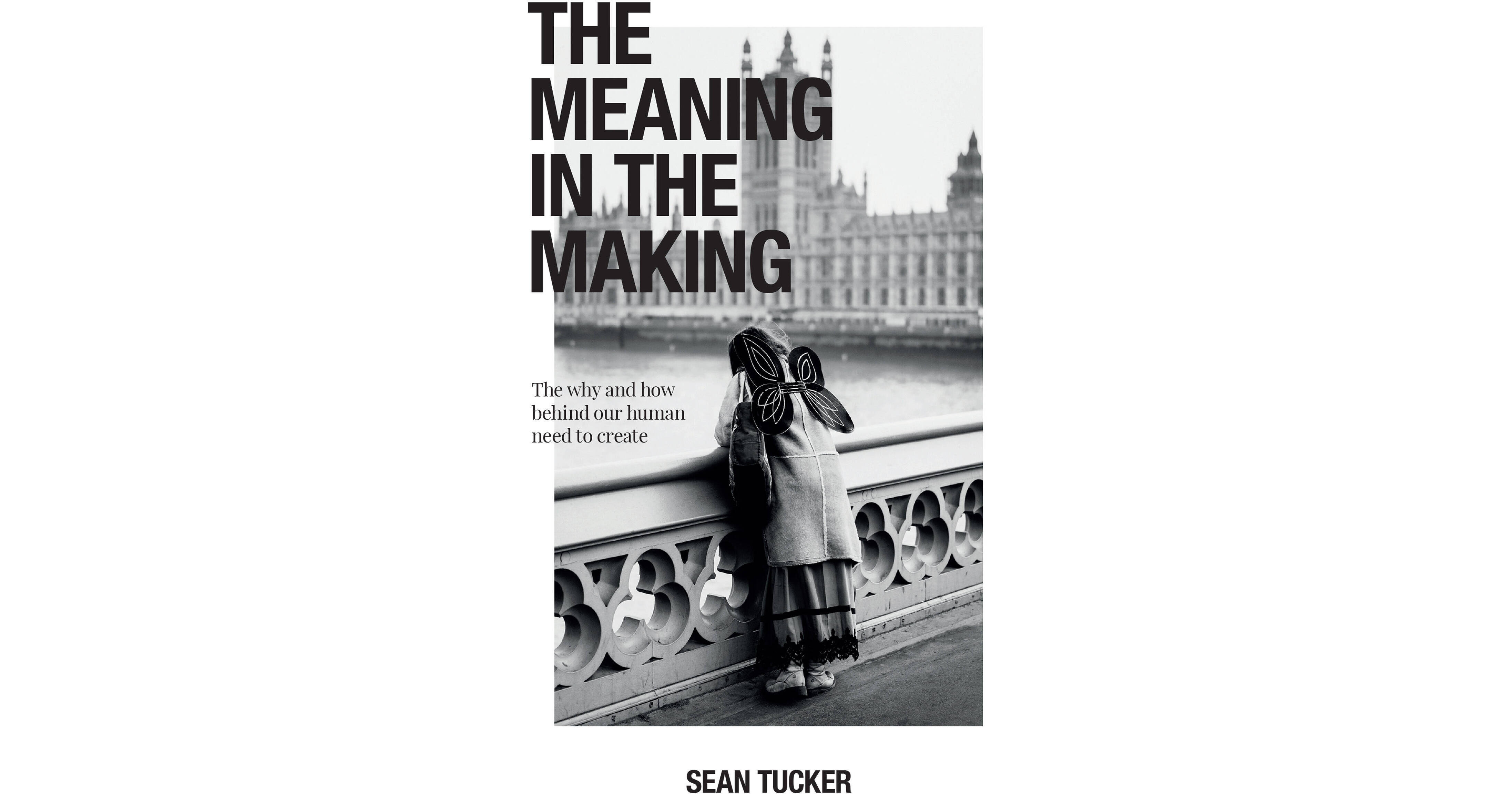 Sean Tucker Book: The Meaning in the Making 9781681987231 B&H