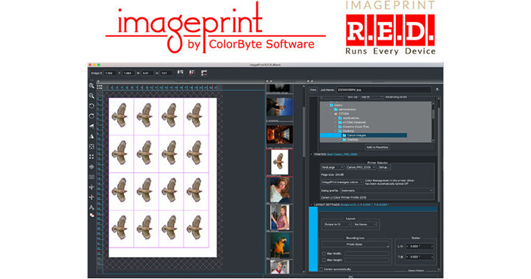Canon Colorbyte IMAGEPRINT R.E.D Software 7025A046AA B&H Photo