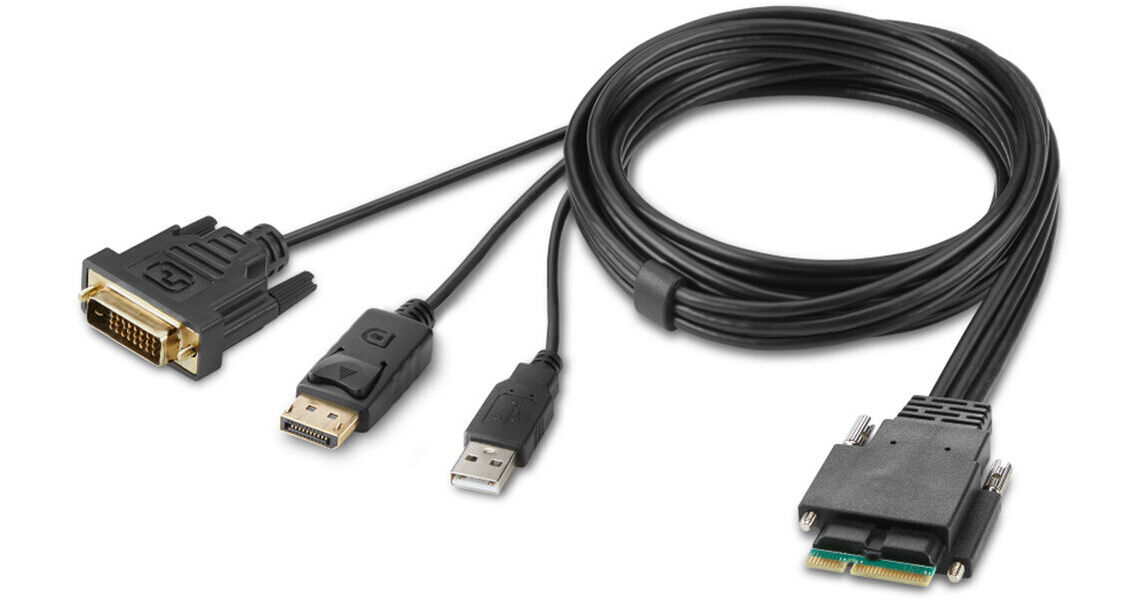 Belkin Modular DVI and DP Dual-Head Host Cable F1DN2MOD-HC-DP6