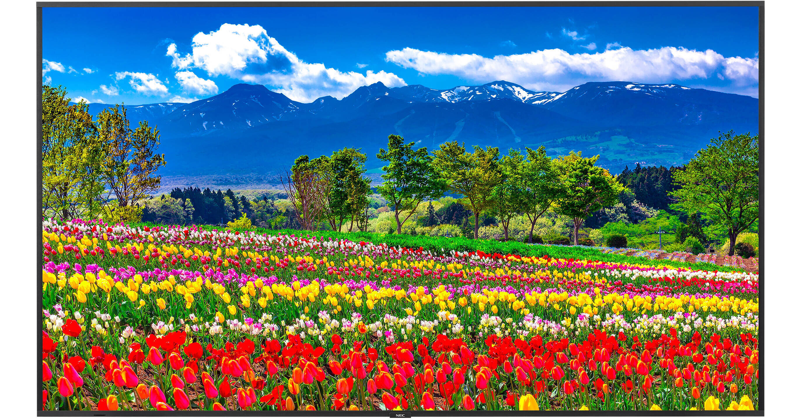 Sharp M751-AVT3 75" Class UHD 4K HDR Commercial Monitor