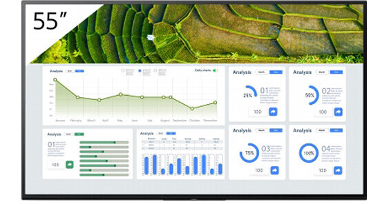 Sony BZ30L Series 55" UHD 4K HDR Commercial Monitor FW55BZ30L