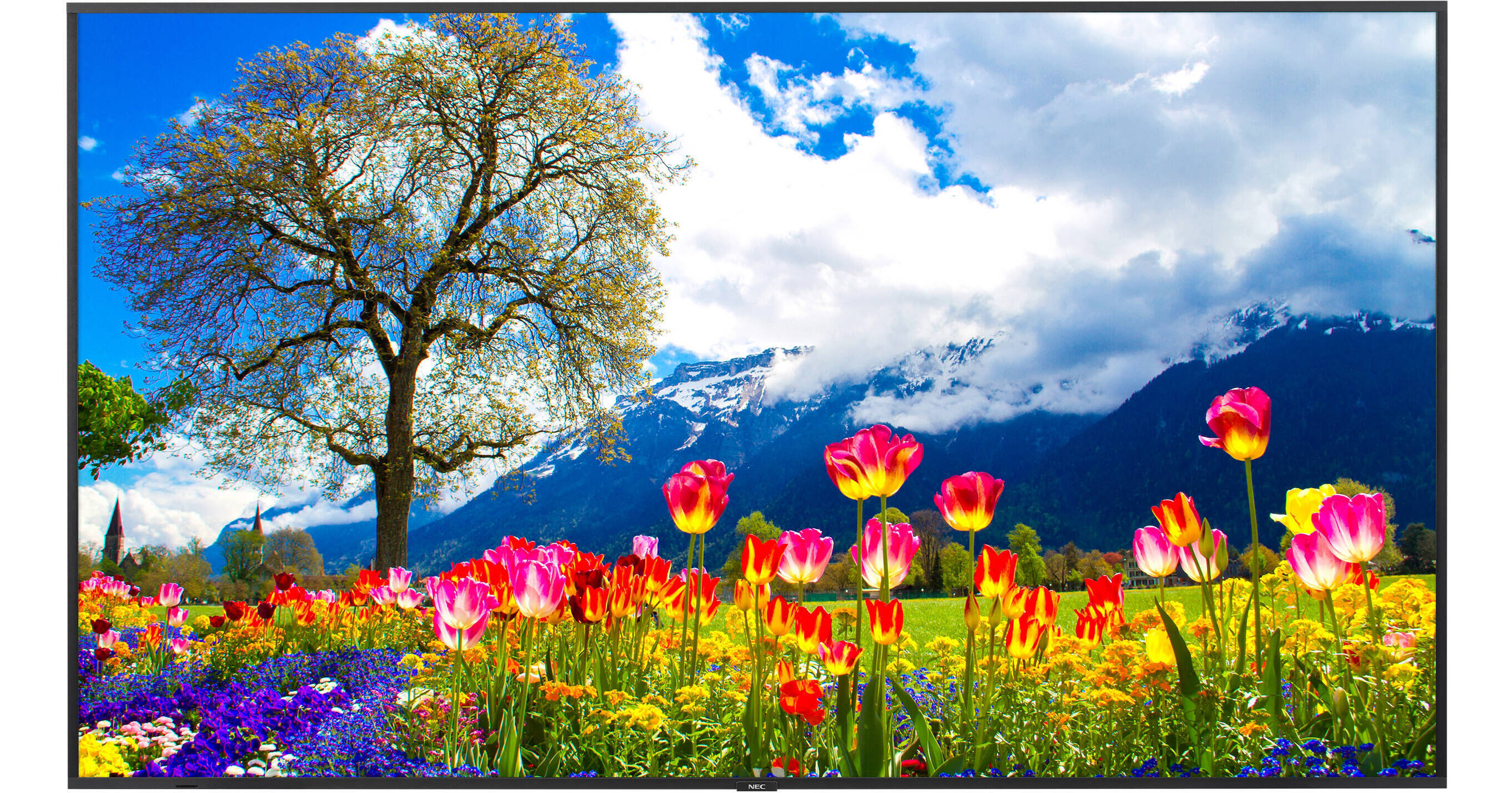 Sharp M981-AVT3 98" UHD 4K HDR Commercial Monitor M981-AVT3 B&H