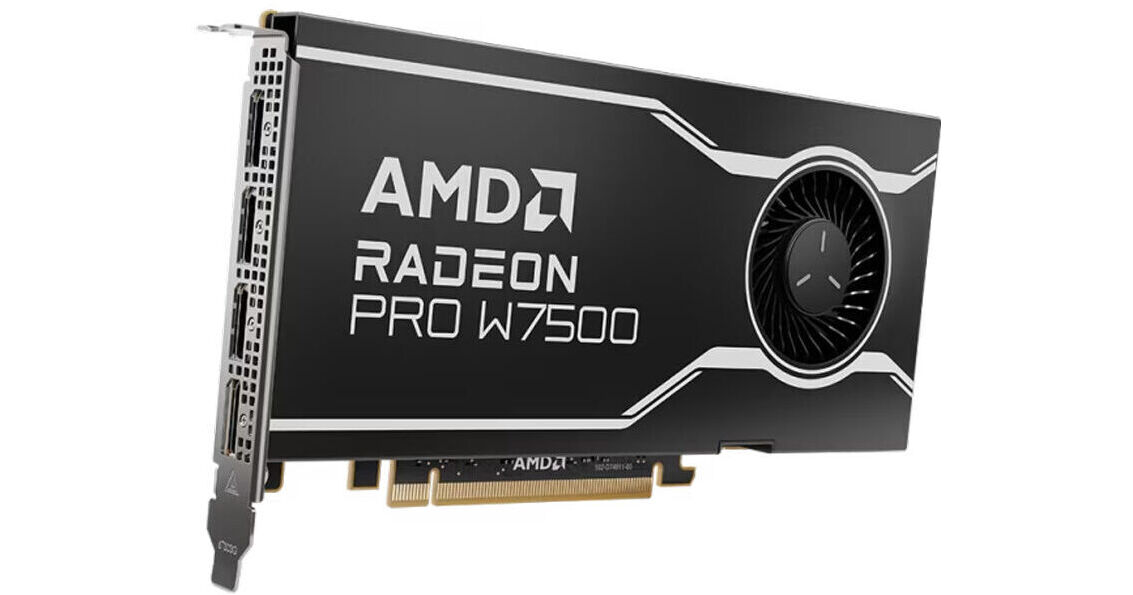 AMD Radeon Pro W7500 Professional Graphics Card 100-300000078