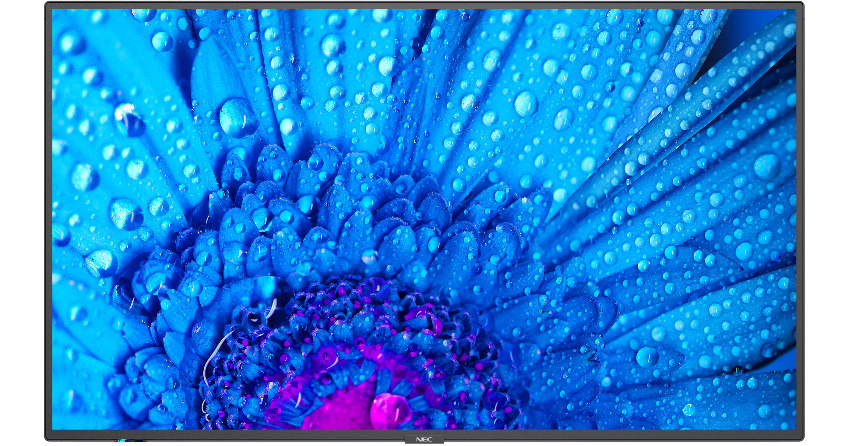 Sharp M861 86" UHD 4K HDR Commercial Monitor M861 B&H Photo Video