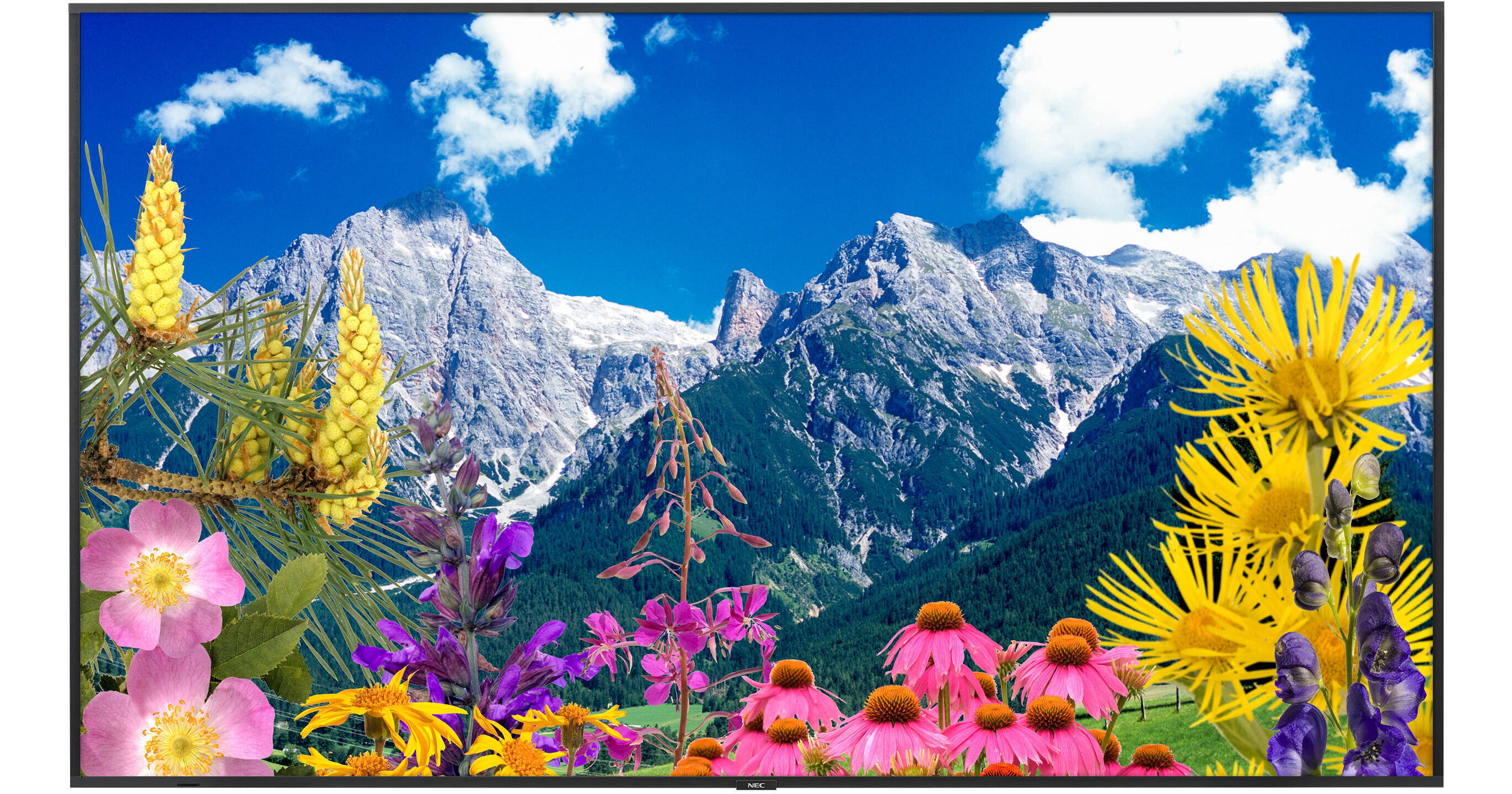 Sharp M861-AVT3 86" UHD 4K HDR Commercial Monitor M861-AVT3 B&H