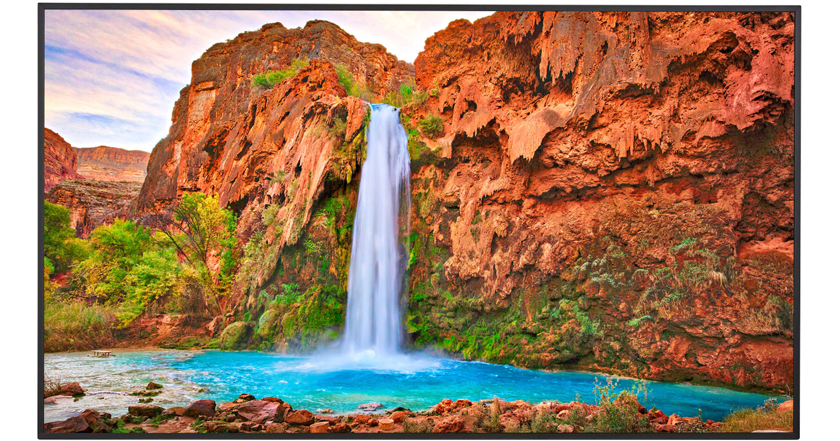 Sharp PN-ME552 55" UHD 4K HDR Commercial Monitor PN-ME552 B&H