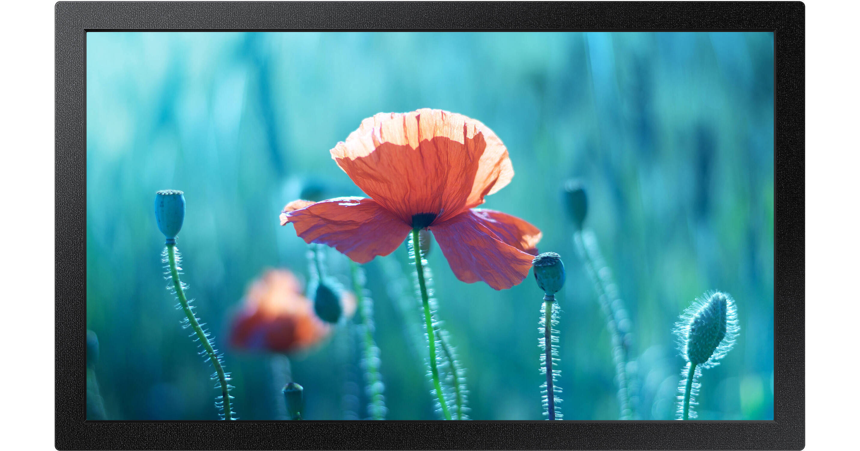 Samsung QB13R-M 13" Full HD Commercial Monitor QB13R-M B&H Photo