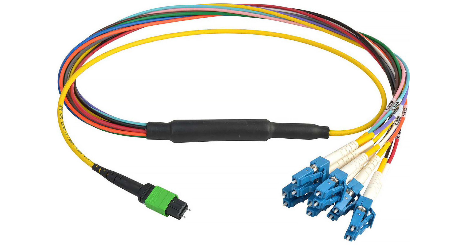 Camplex MTP Elite APC Male to 12 LC UPC External CMX-MTPSMLC-006