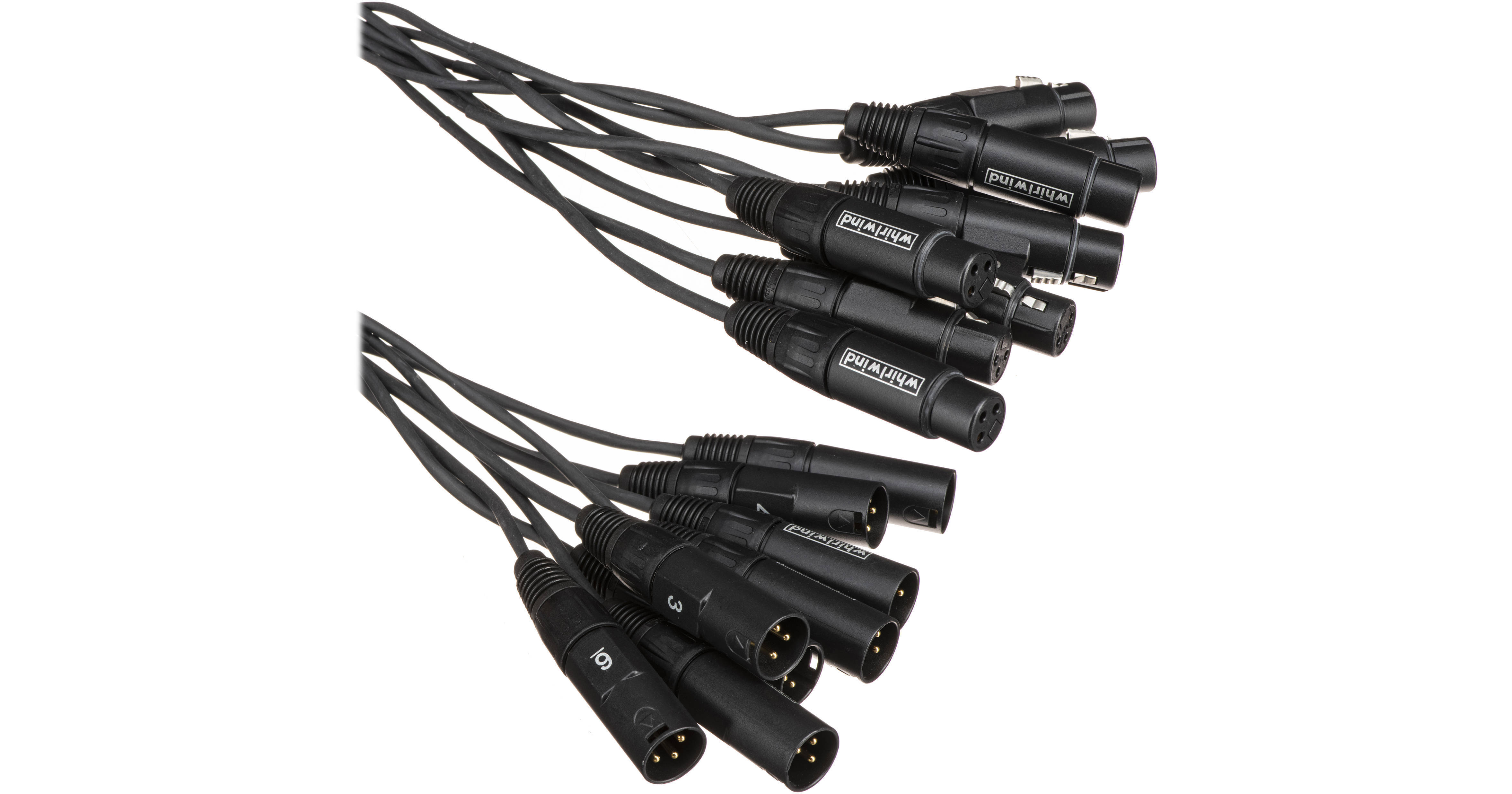 Whirlwind Medusa 8-Channel Multitrack XLR Audio Snake