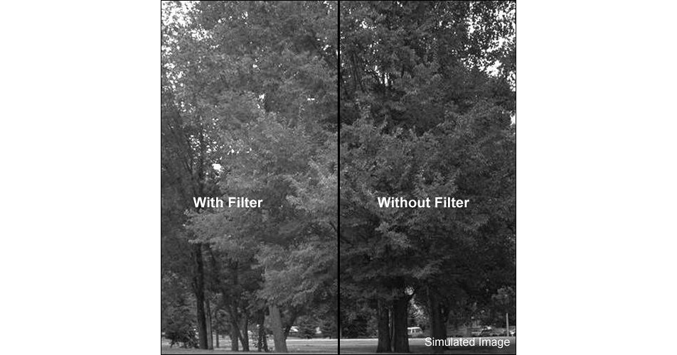 Kodak 4 x 12" #58 Green Wratten 2 Optical Gel Filter 1300847 B&H