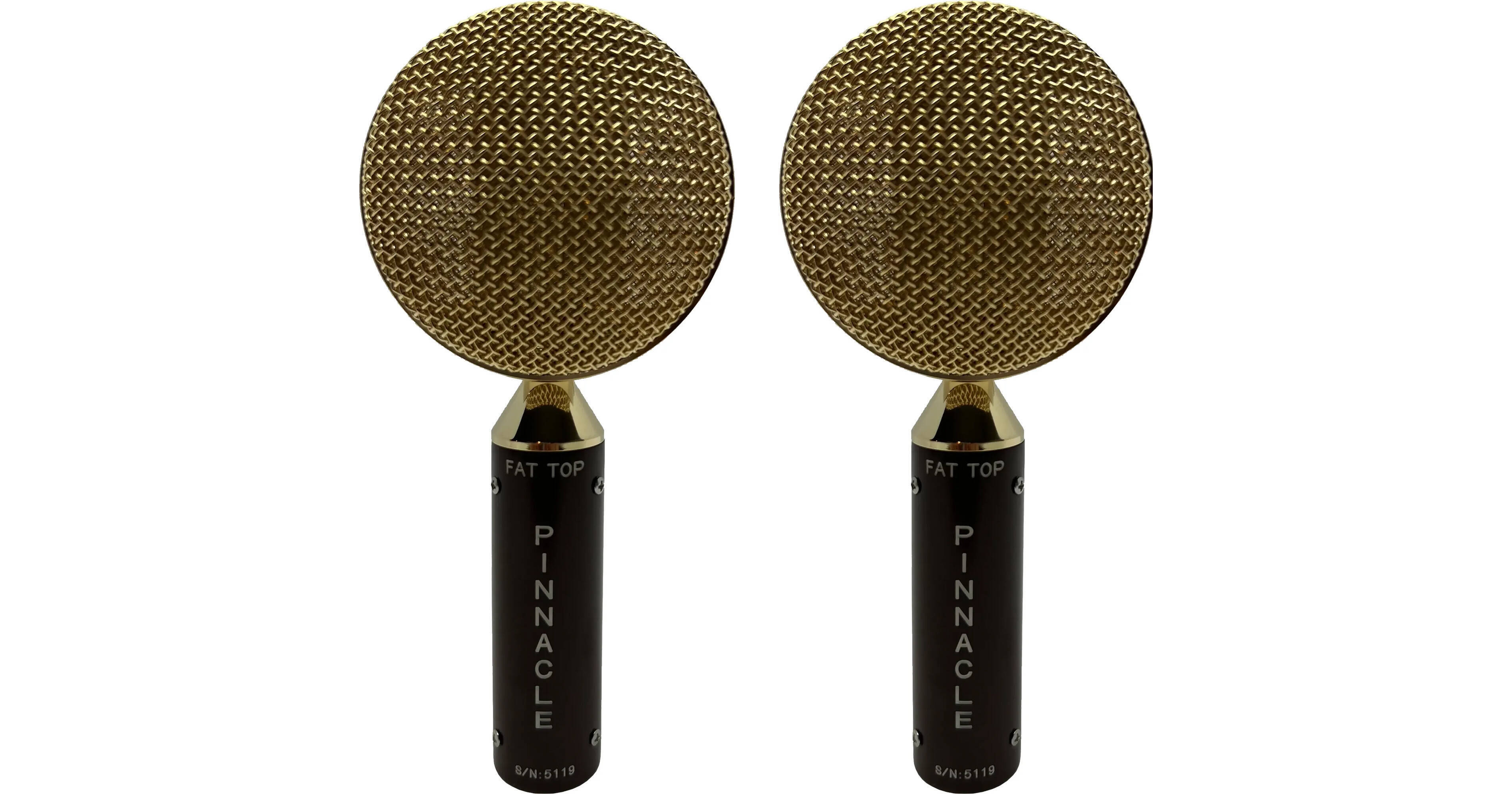 Pinnacle Microphones FAT Top Ribbon Microphones D-FT-ST-G B&H