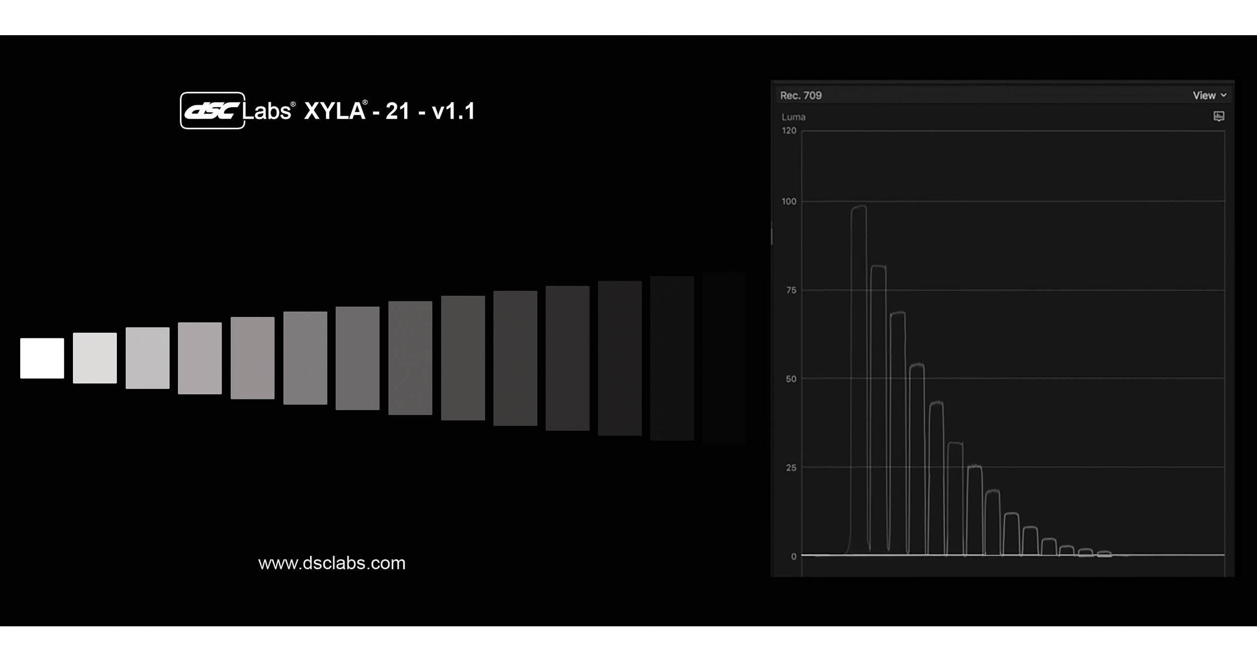 DSC Labs Xyla 21-Step Grayscale with Built-In LED Light CDX1-81W