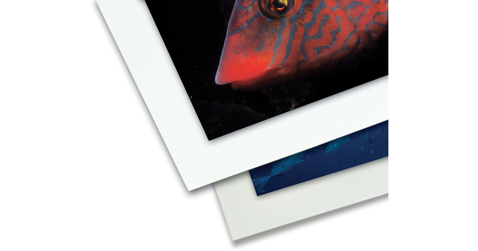 Print File 14 X 17 Conservation Boards 350 0034 B H Photo Video print-file-14-x-17-conservation-boards-350-0034-b-h-photo-video