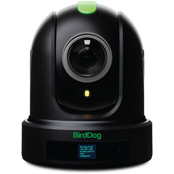 Birddog PTZ Cameras | B&H Photo Video