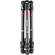 Manfrotto Befree GT Travel Carbon Fiber Tripod MKBFRTC4GT-BHUS