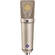 Neumann U 89 i Large-Diaphragm Multipattern Condenser U89I B&H